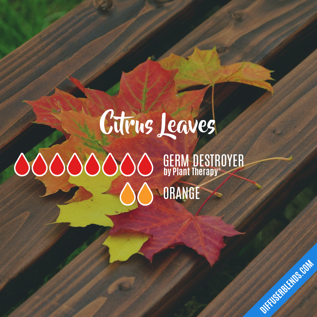 Citrus Leaves | DiffuserBlends.com