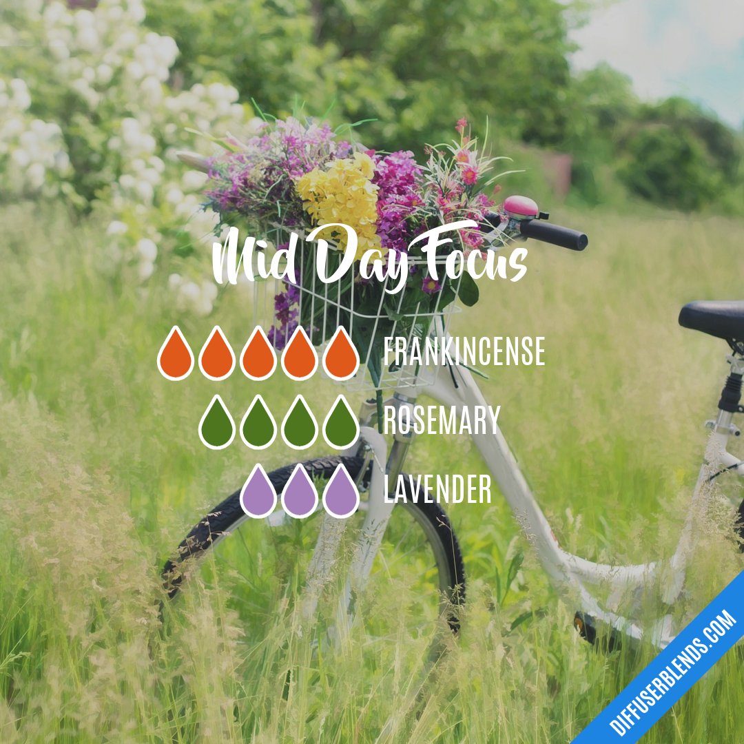 Mid Day Focus | DiffuserBlends.com