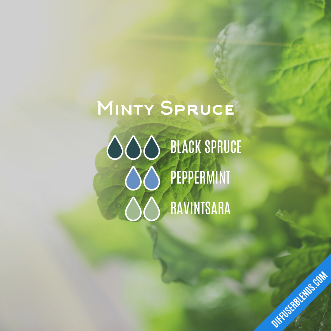 Minty Spruce | DiffuserBlends.com