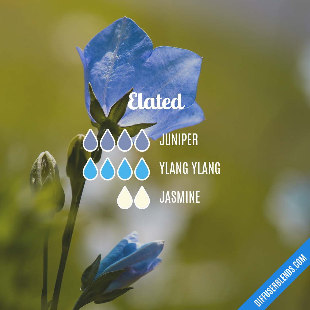 Elated | DiffuserBlends.com