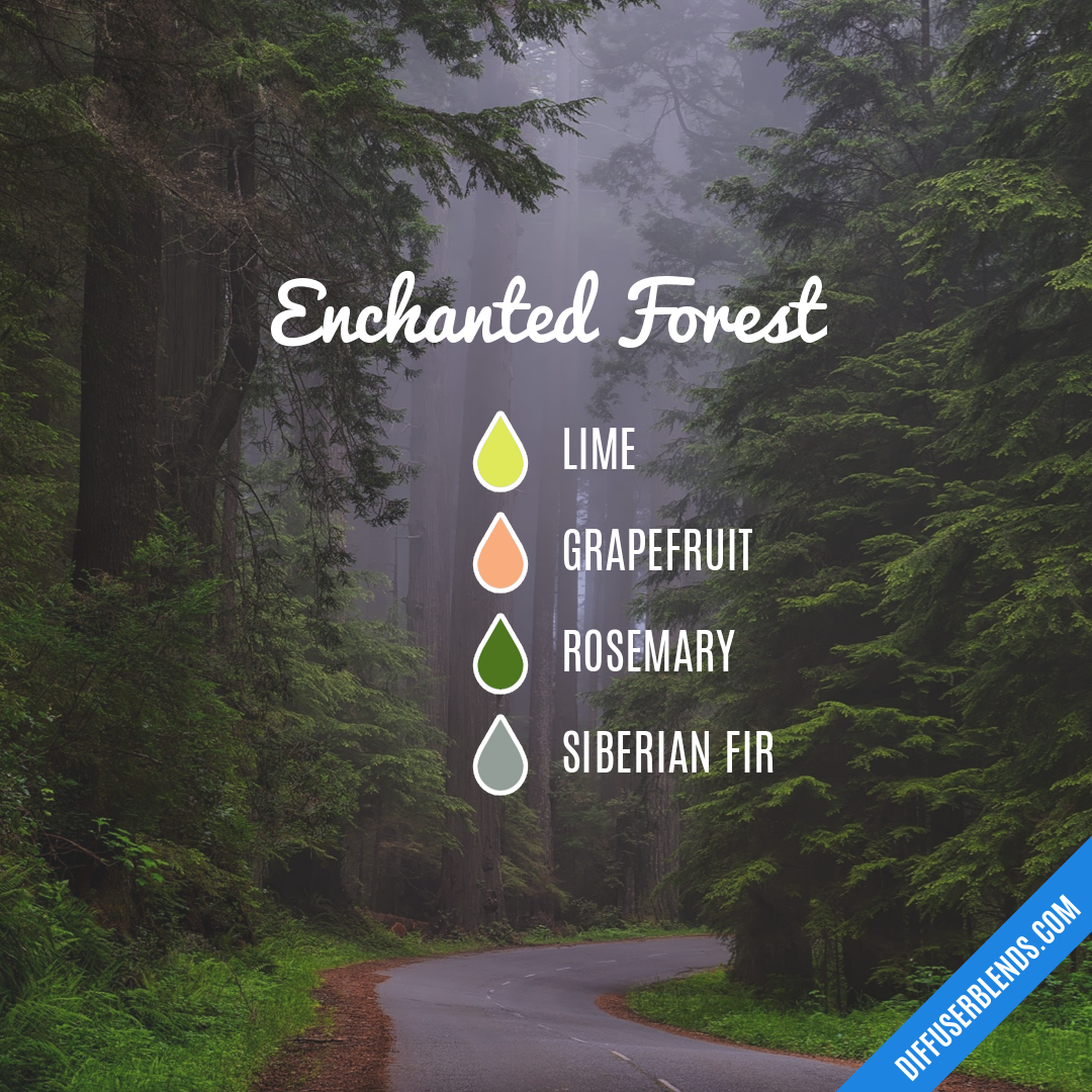 Enchanted Forest | DiffuserBlends.com