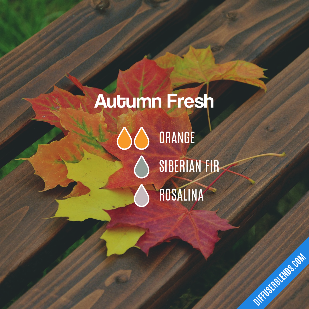 Autumn Fresh | DiffuserBlends.com