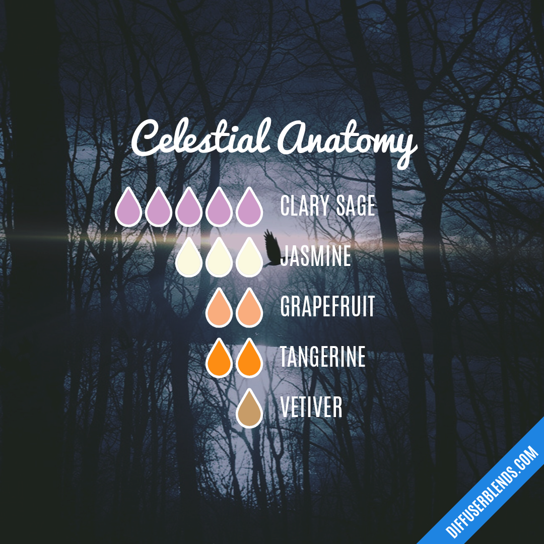 Celestial Anatomy | DiffuserBlends.com