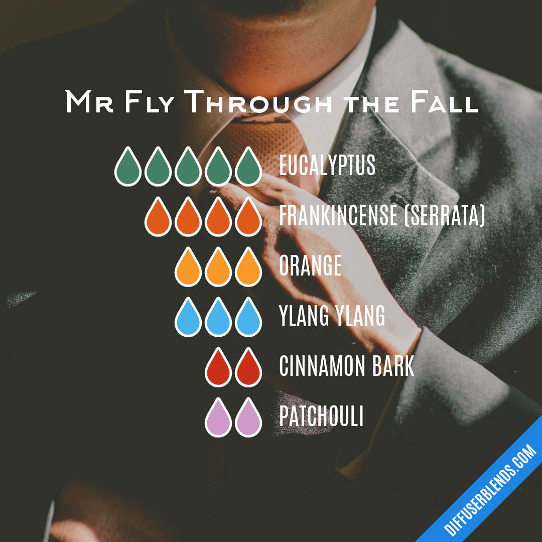 Mr Fly Through the Fall | DiffuserBlends.com