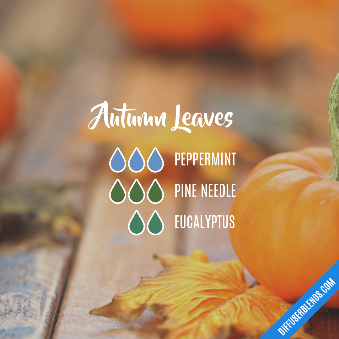 Autumn Leaves | DiffuserBlends.com