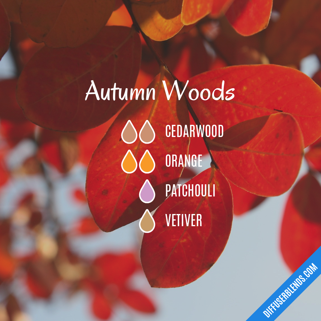 Autumn Woods | DiffuserBlends.com