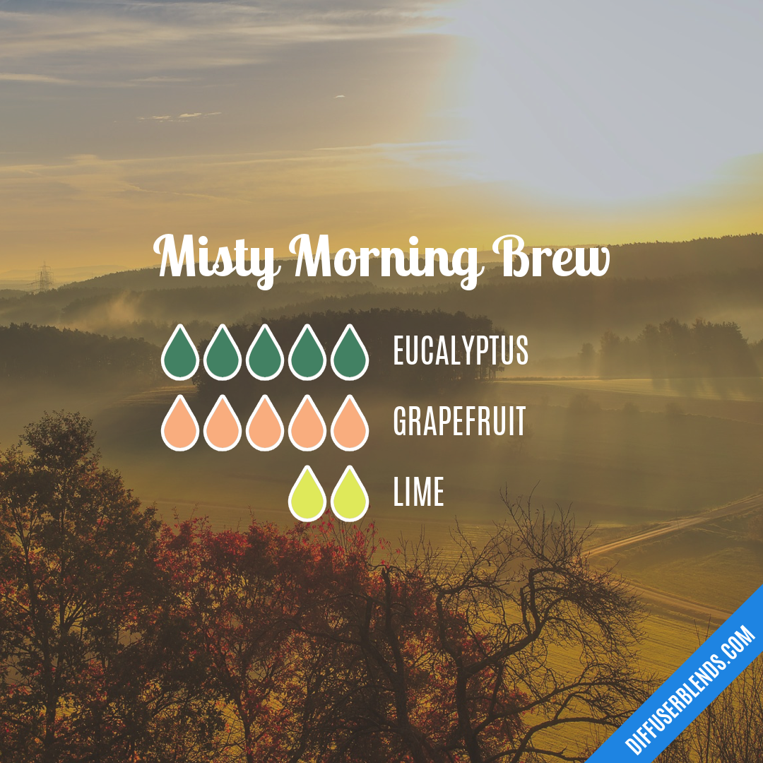 Misty Morning Brew | DiffuserBlends.com