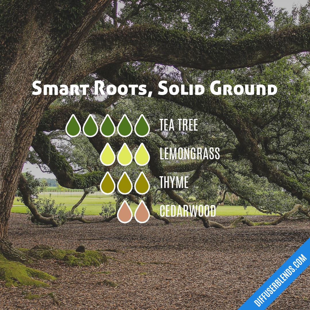 Smart Roots, Solid Ground | DiffuserBlends.com