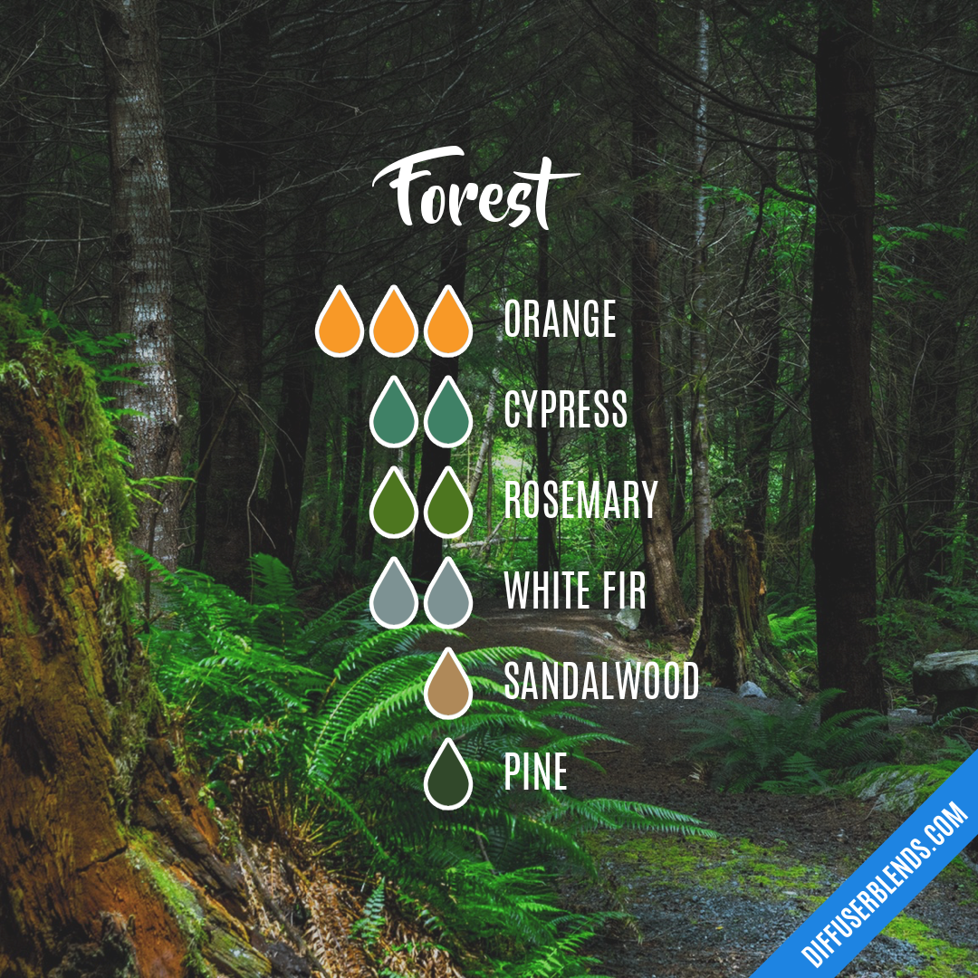 Forest | DiffuserBlends.com
