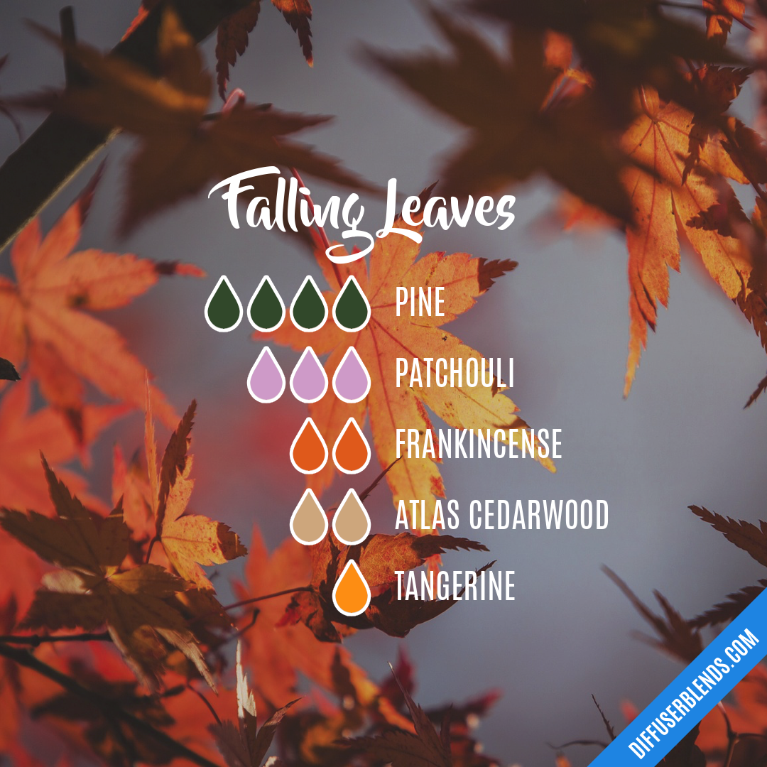 Falling Leaves | DiffuserBlends.com