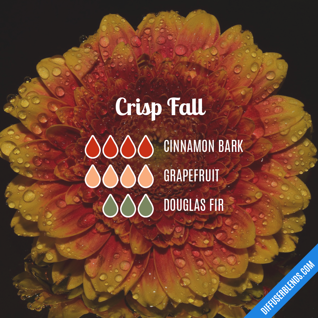 Crisp Fall | DiffuserBlends.com