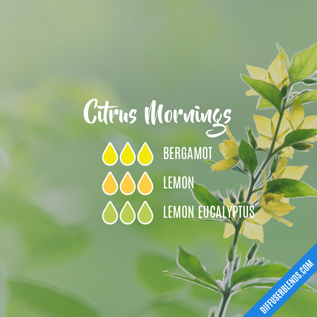 Citrus Mornings | DiffuserBlends.com