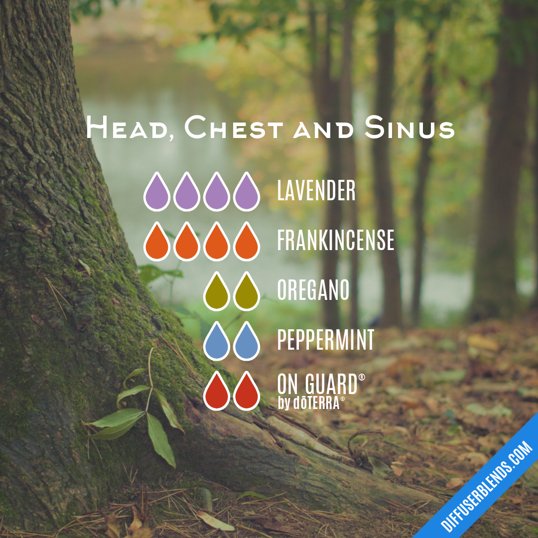 Head, Chest and Sinus | DiffuserBlends.com