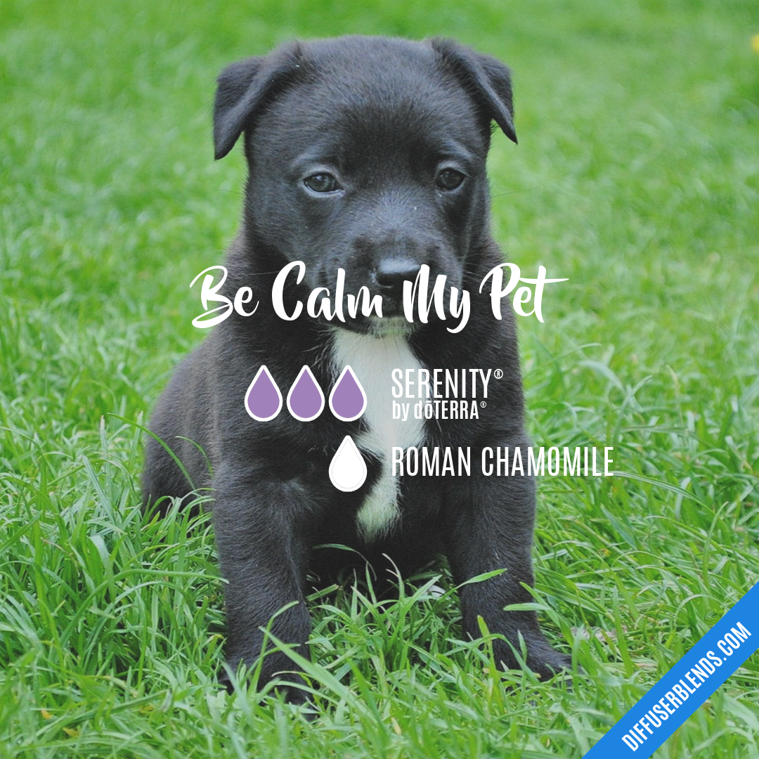 Be Calm My Pet | DiffuserBlends.com