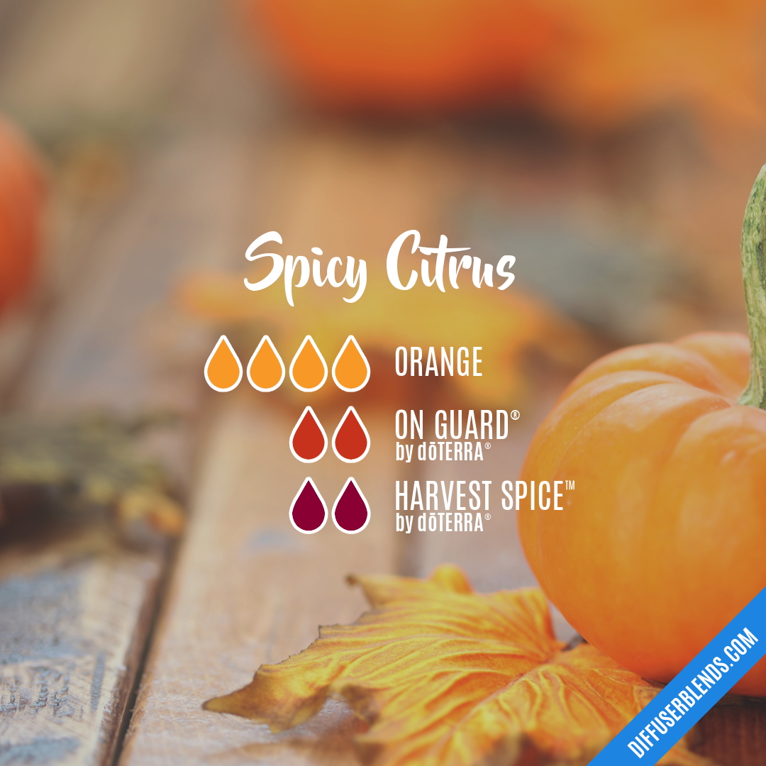 Spicy Citrus | DiffuserBlends.com