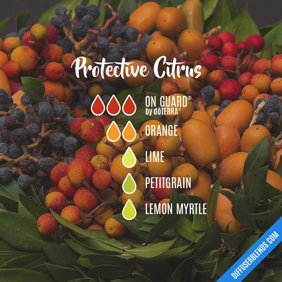 Protective Citrus | DiffuserBlends.com