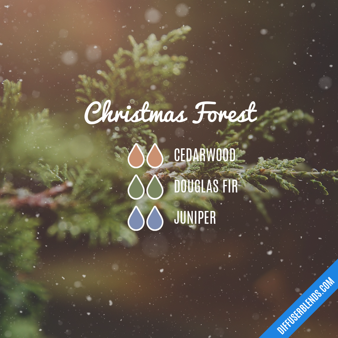 Christmas Forest | DiffuserBlends.com