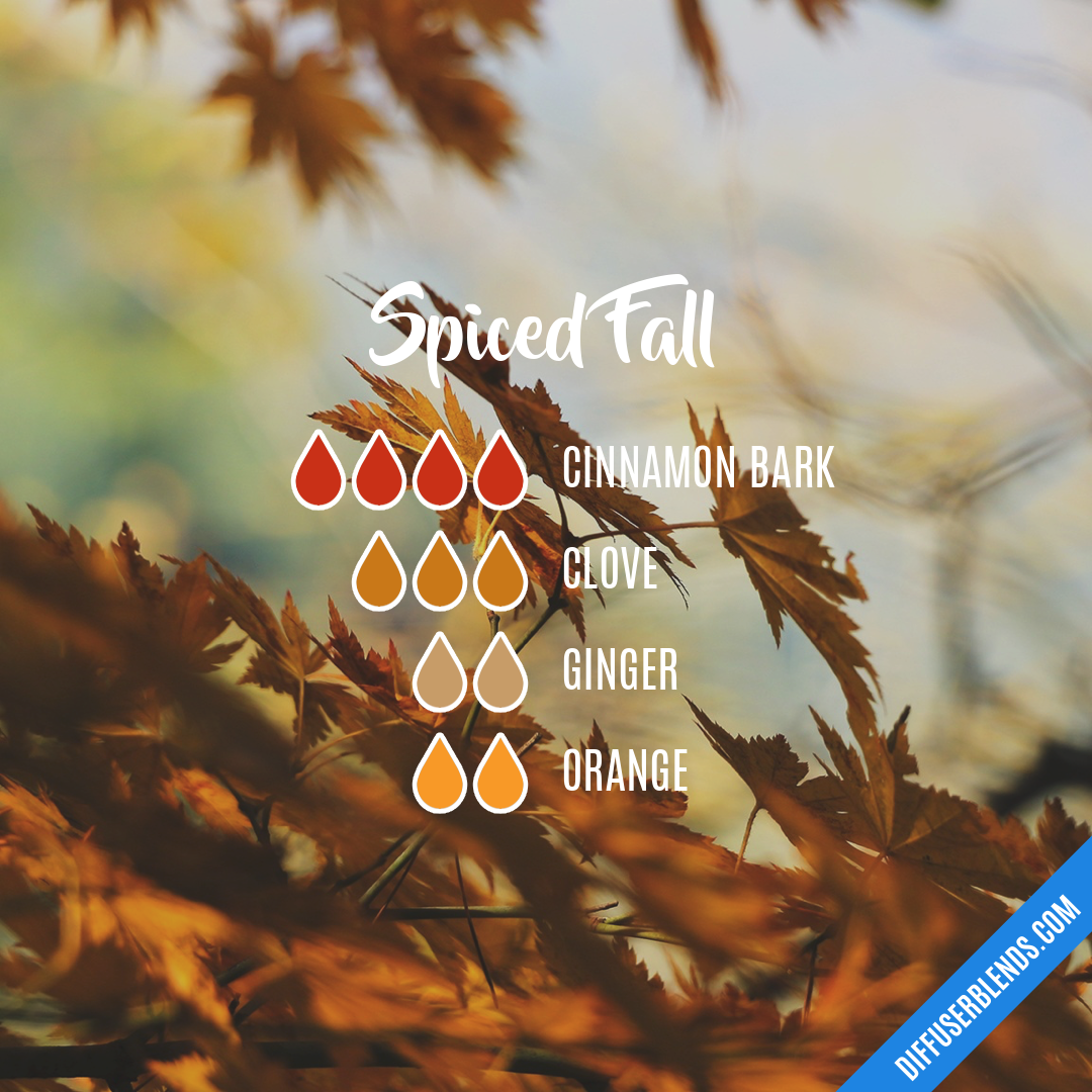 Spiced Fall | DiffuserBlends.com