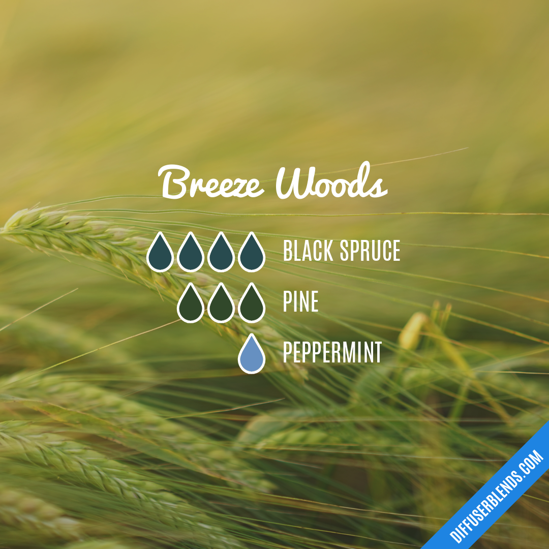 Breeze Woods | DiffuserBlends.com