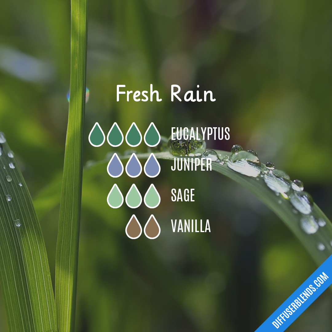 Fresh Rain | DiffuserBlends.com