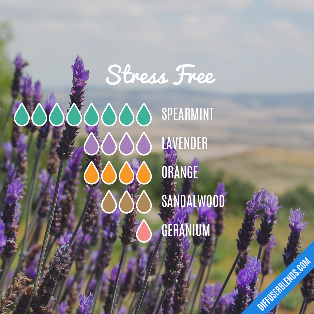 Stress Free | DiffuserBlends.com