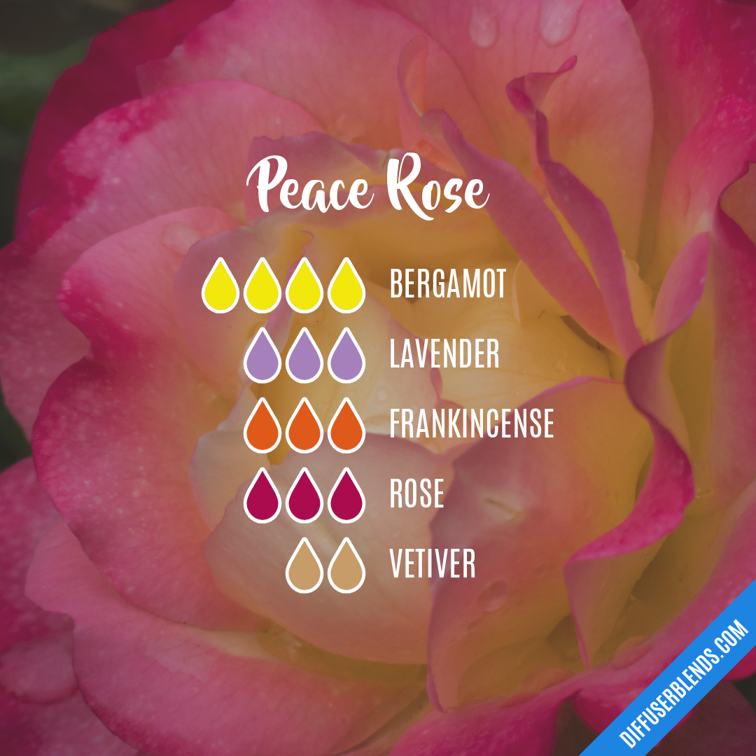 Peace Rose | DiffuserBlends.com