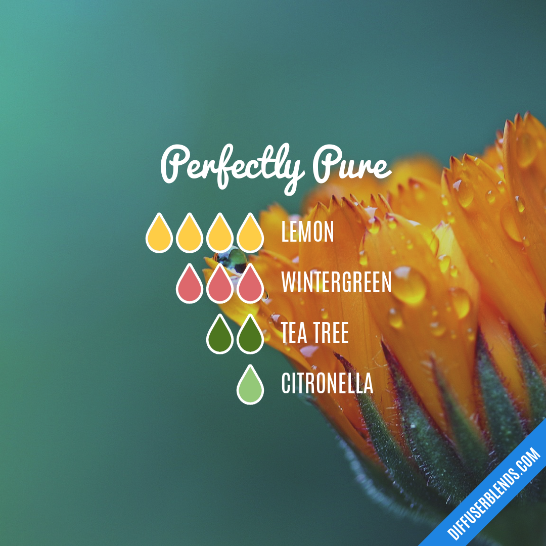 Perfectly Pure | DiffuserBlends.com