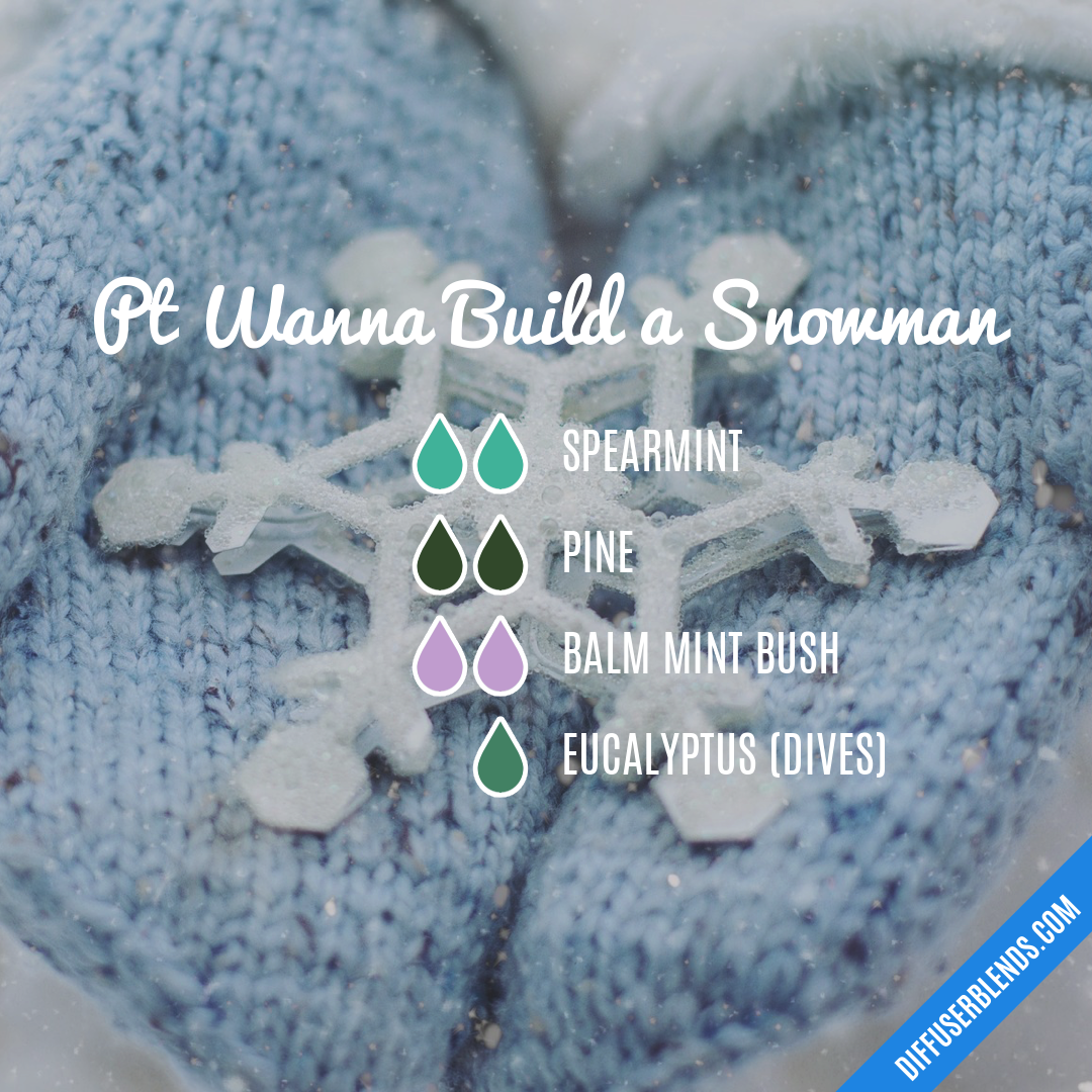 Pt Wanna Build a Snowman | DiffuserBlends.com