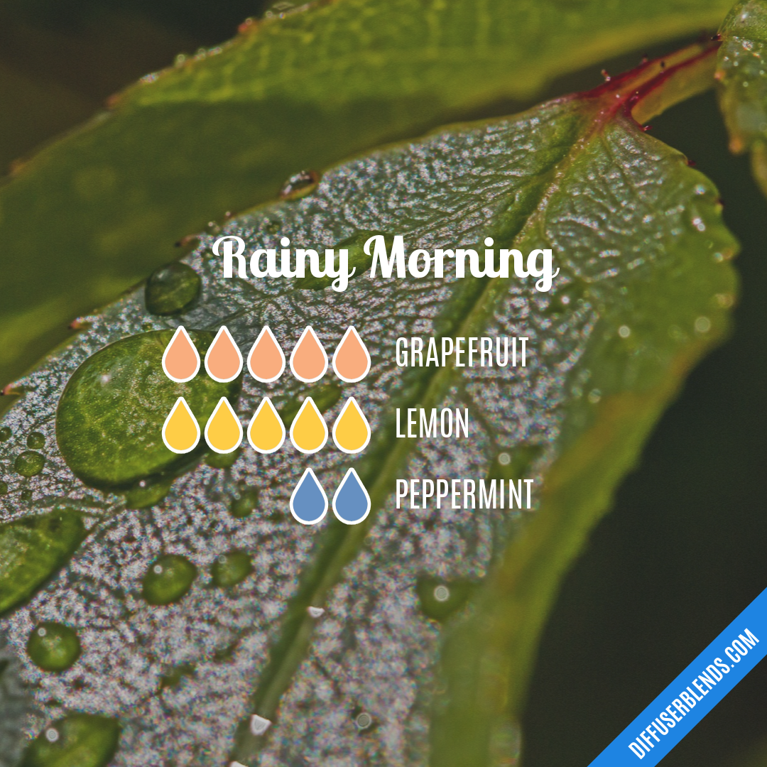 Rainy Morning | DiffuserBlends.com