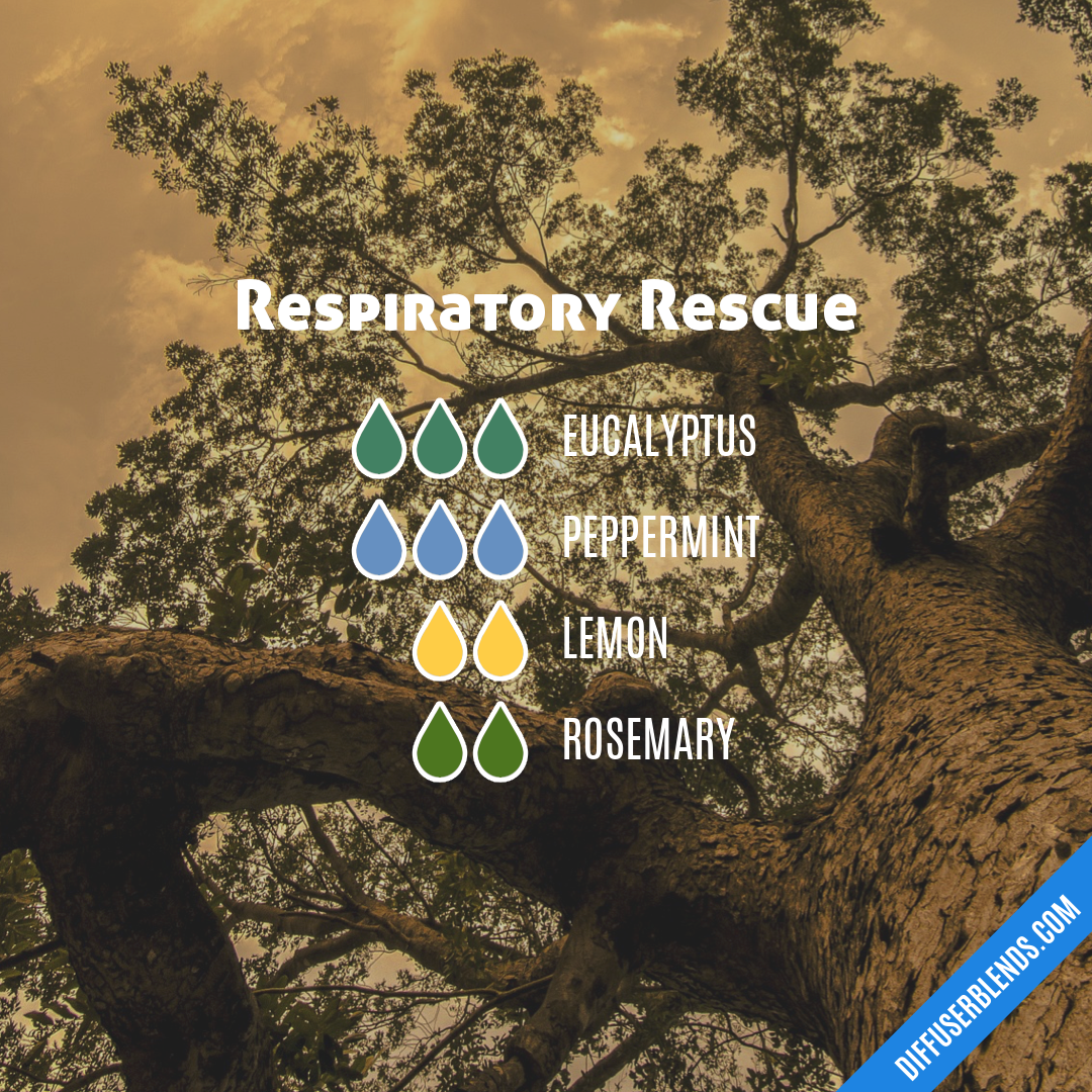 Respiratory Rescue | DiffuserBlends.com