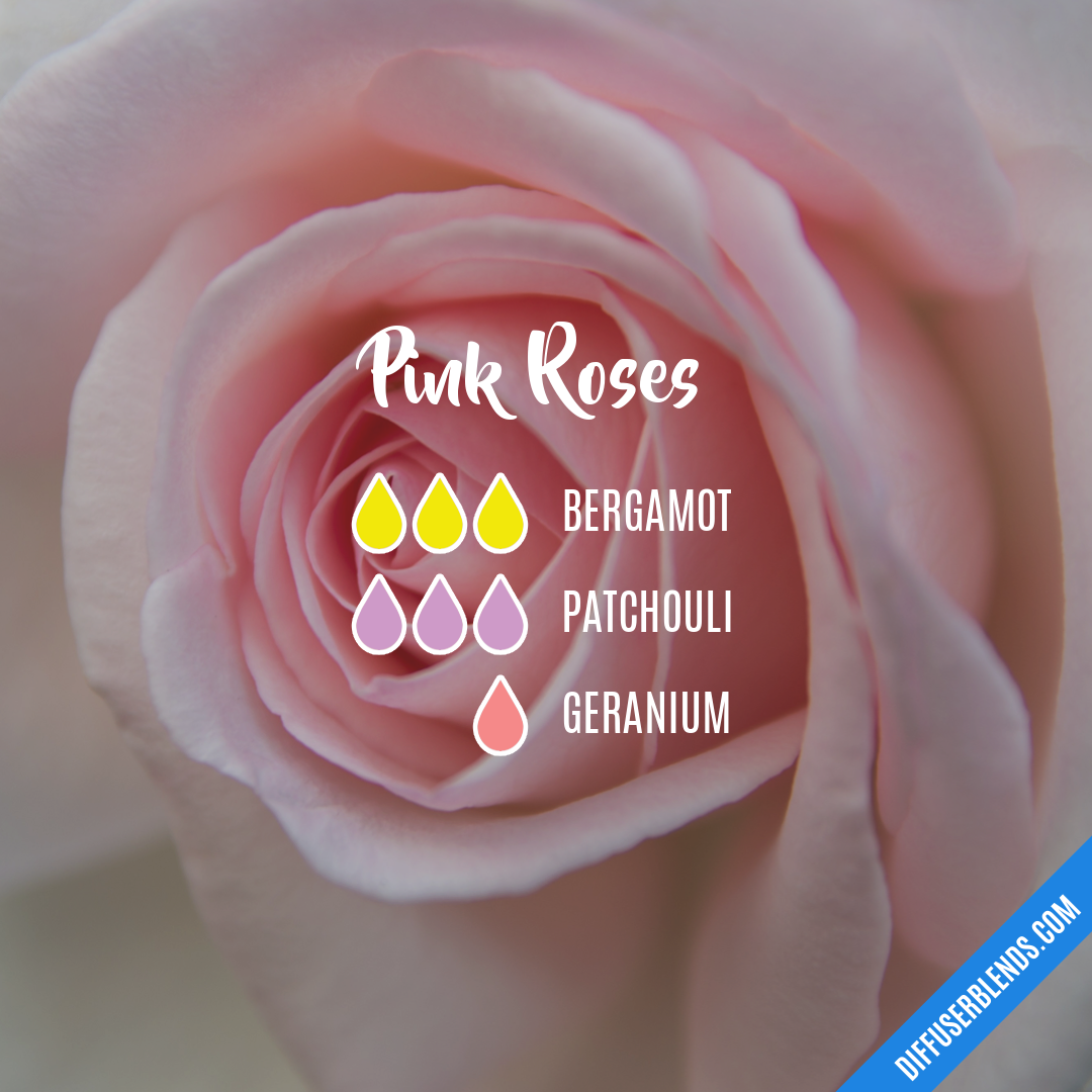 Pink Roses | DiffuserBlends.com