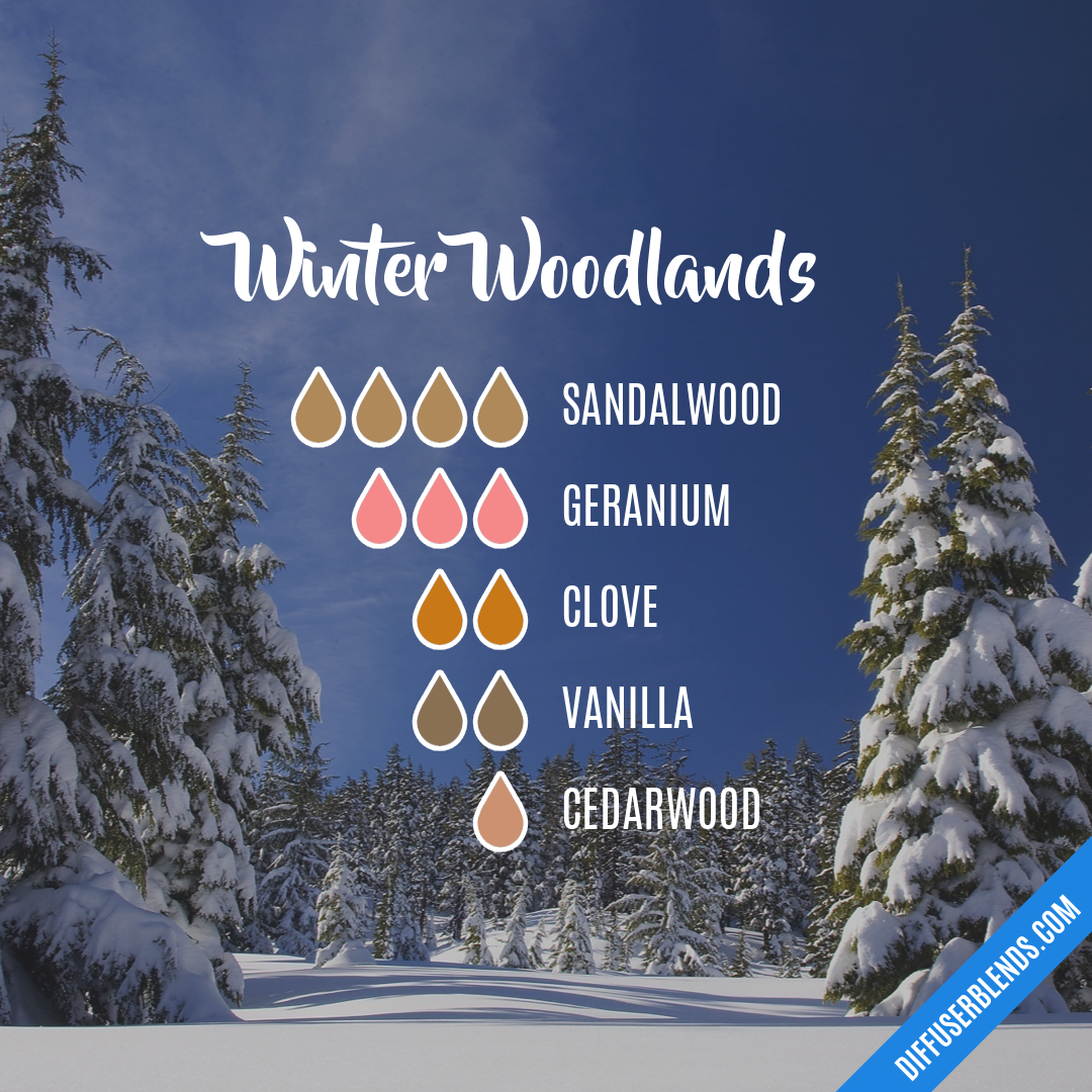 Winter Woodlands | DiffuserBlends.com