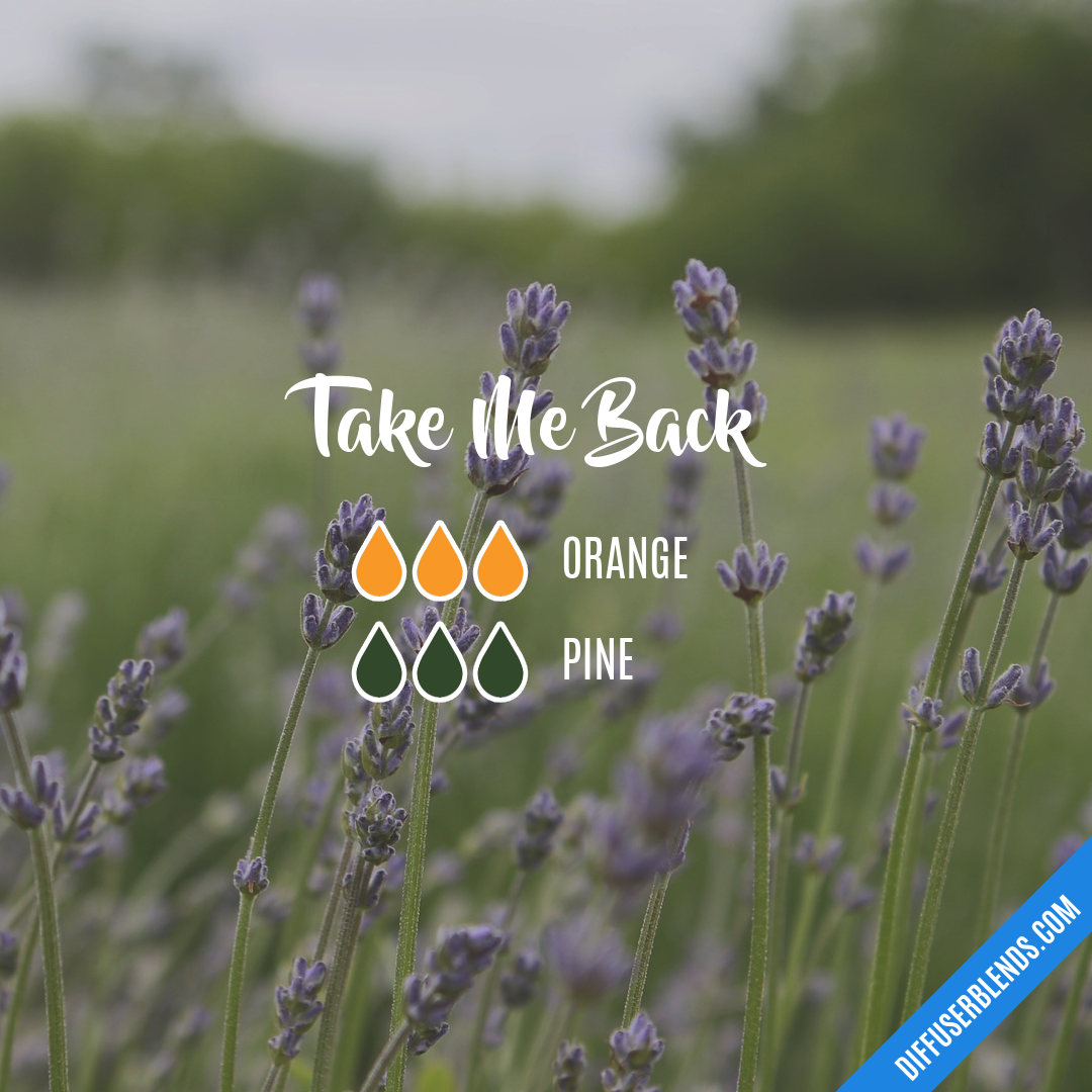 Take Me Back | DiffuserBlends.com