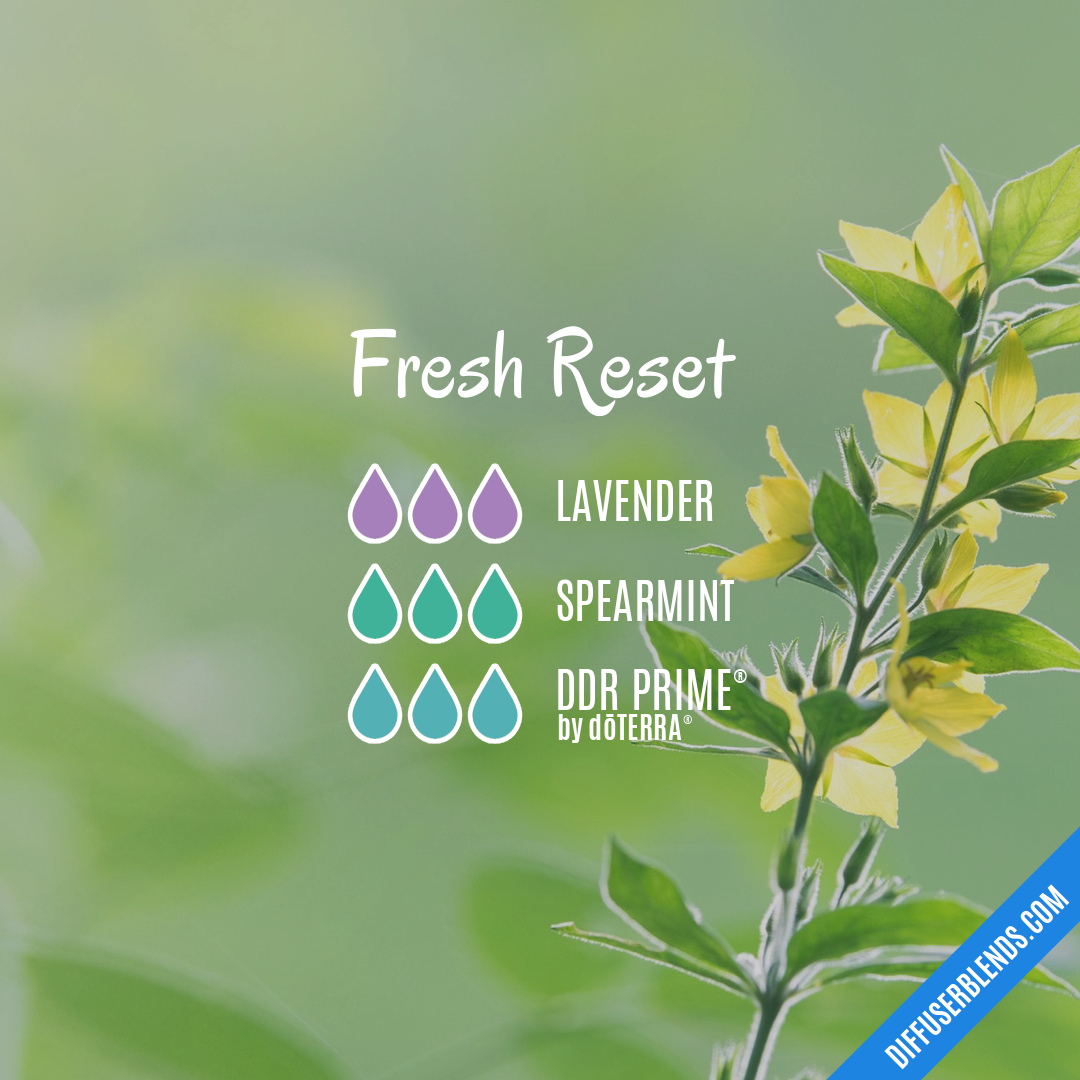 Fresh Reset | DiffuserBlends.com