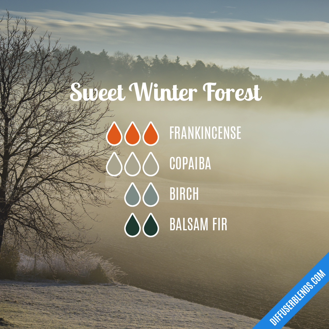 Sweet Winter Forest | DiffuserBlends.com