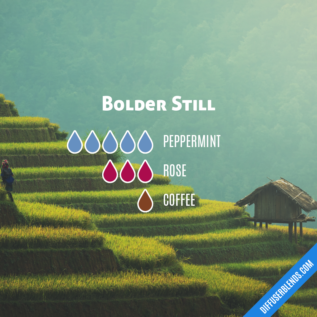 Bolder Still | DiffuserBlends.com