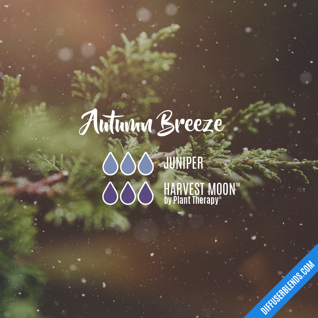 Autumn Breeze | DiffuserBlends.com