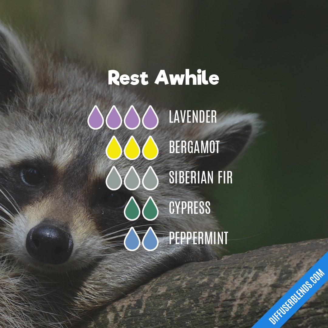 Rest Awhile Diffuserblends