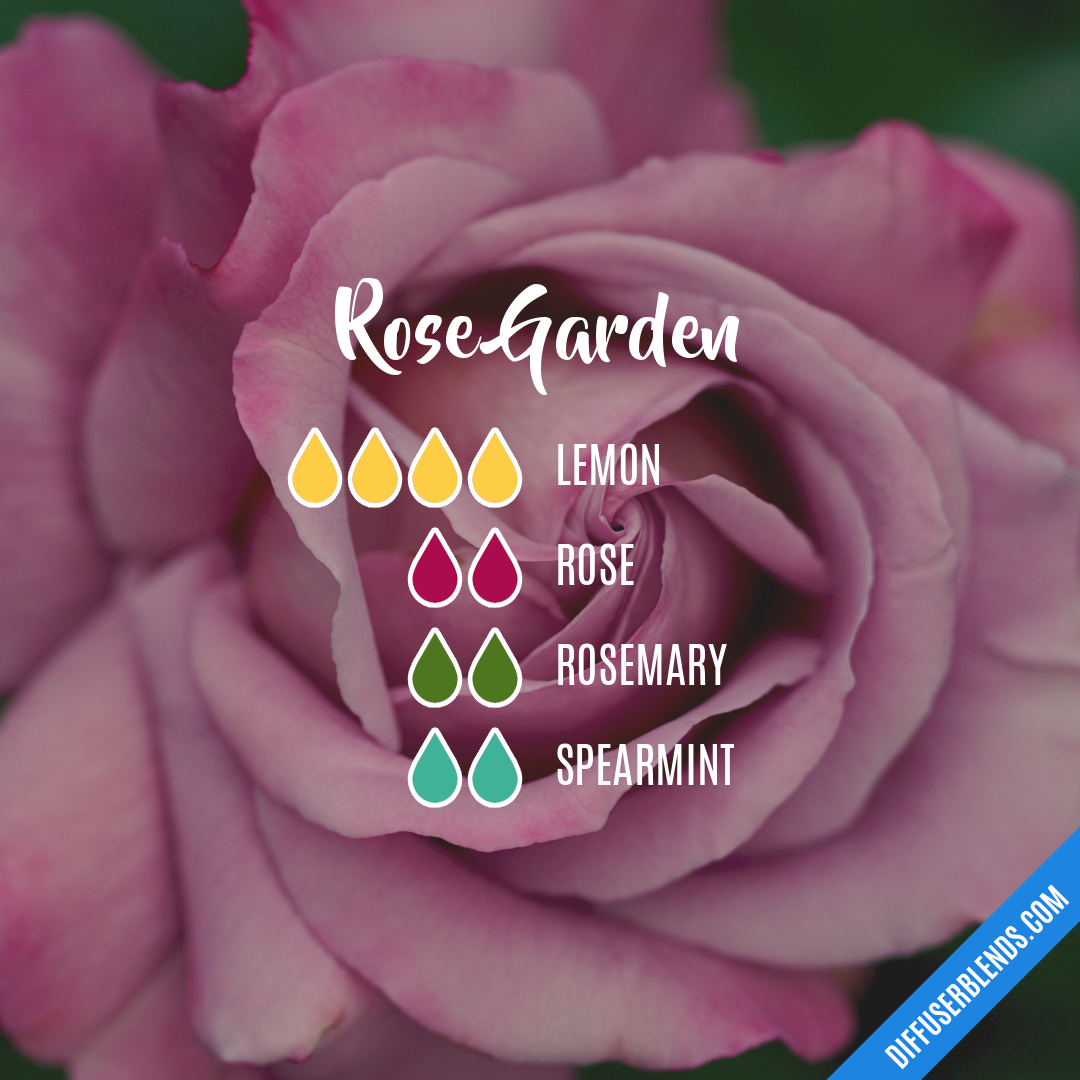 Rose Garden | DiffuserBlends.com