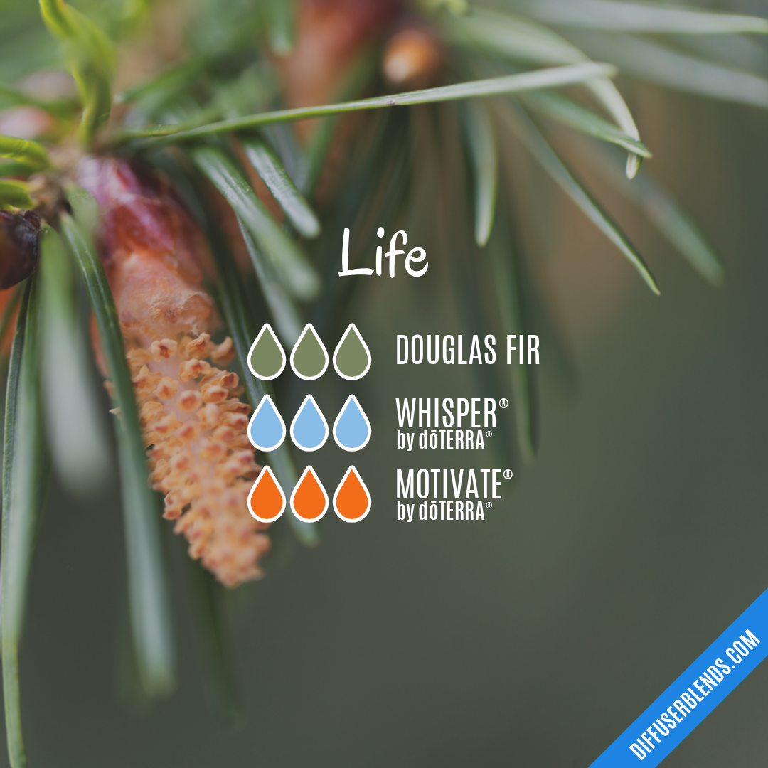 Life | DiffuserBlends.com