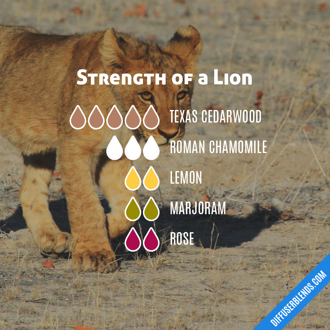 Strength of a Lion | DiffuserBlends.com