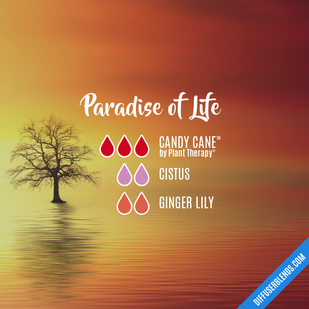Paradise of Life | DiffuserBlends.com