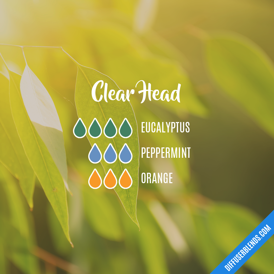 Clear Head | DiffuserBlends.com