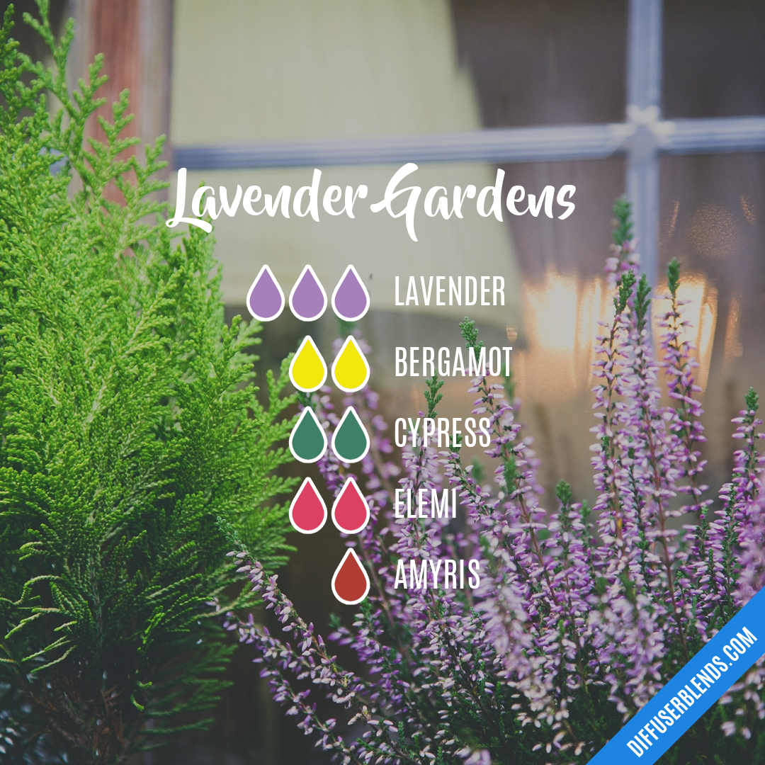 Lavender Gardens | DiffuserBlends.com
