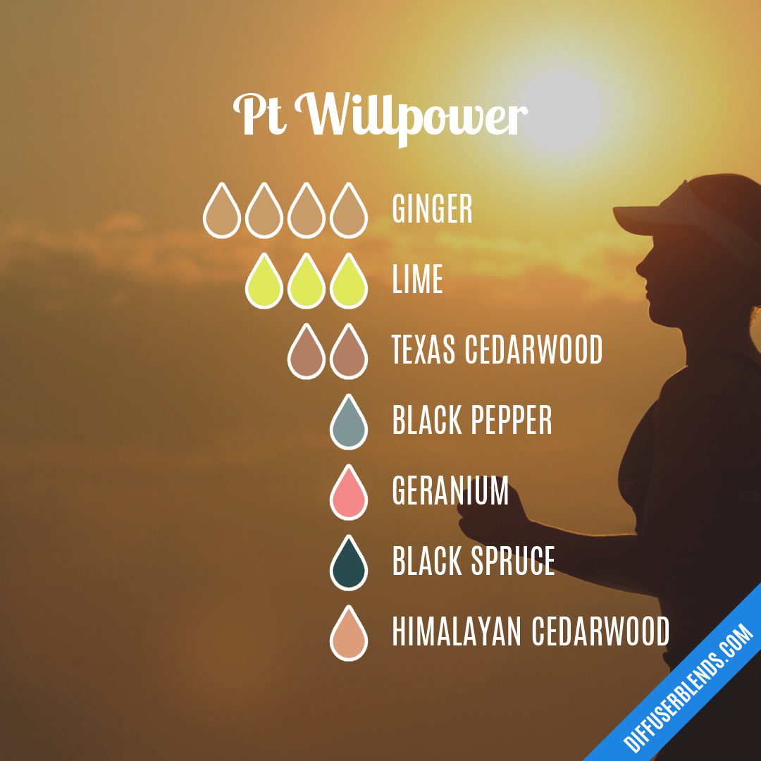 Pt Willpower | DiffuserBlends.com