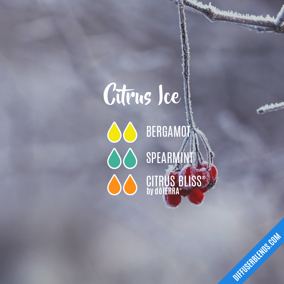 Citrus Ice | DiffuserBlends.com