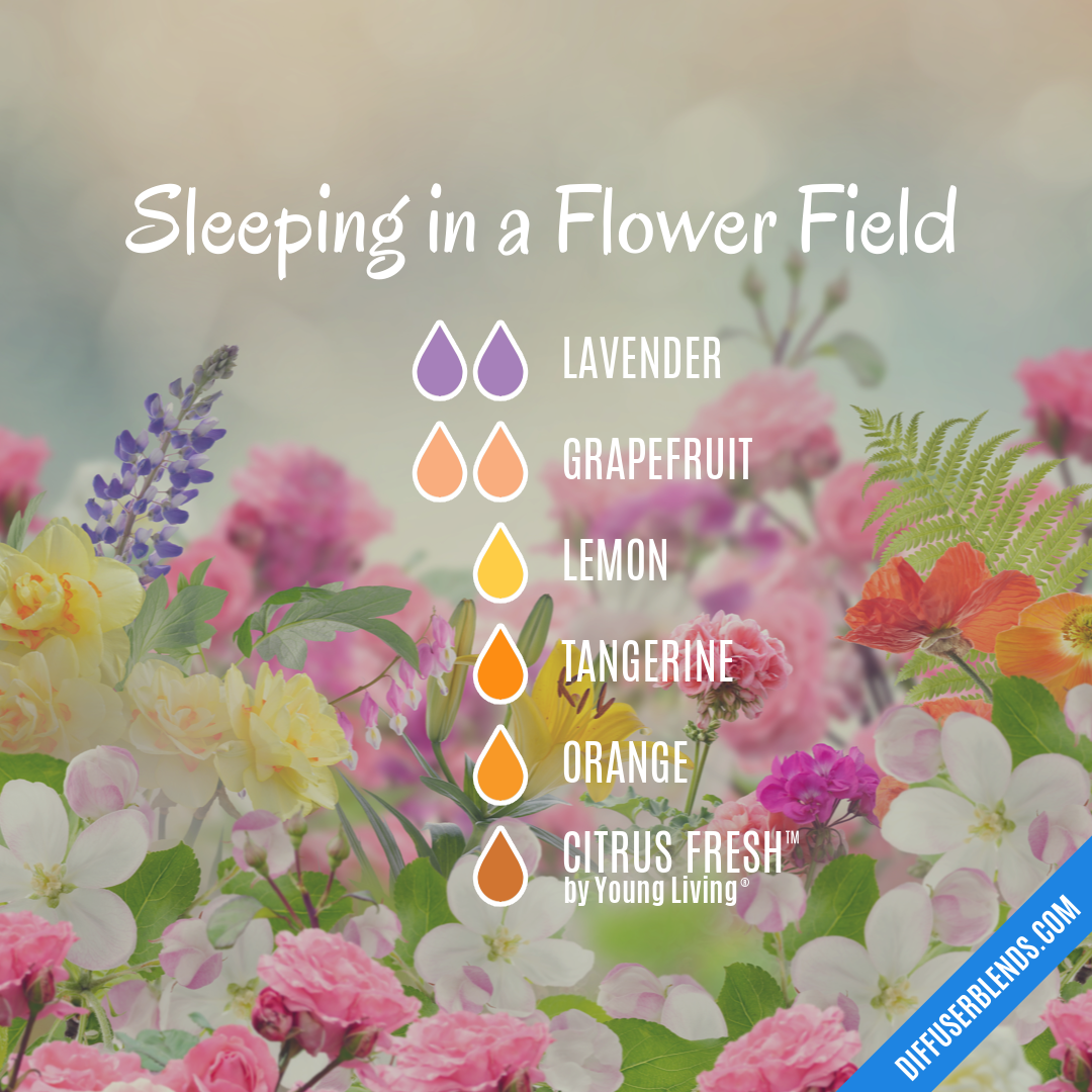 Sleeping in a Flower Field | DiffuserBlends.com