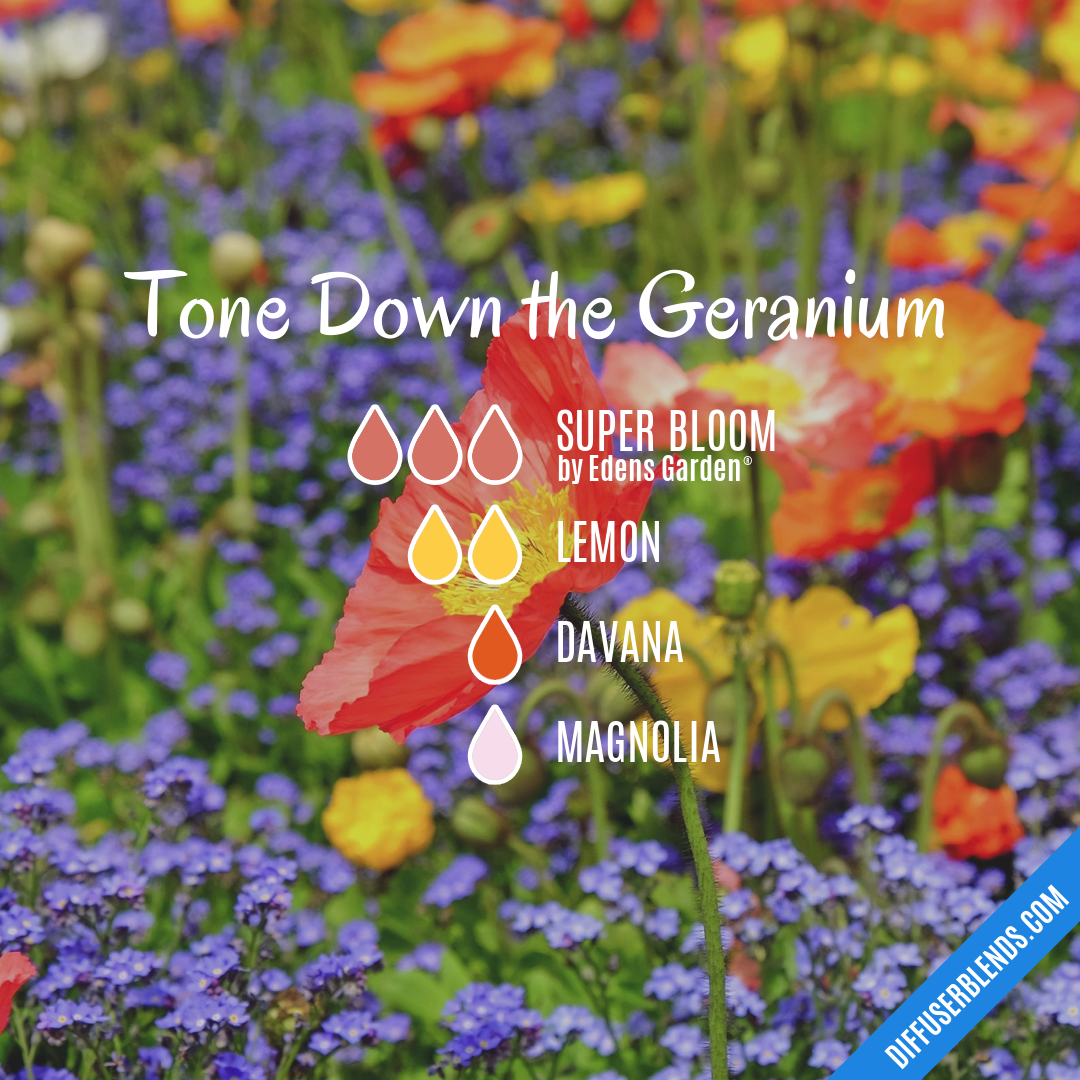 Tone Down the Geranium | DiffuserBlends.com