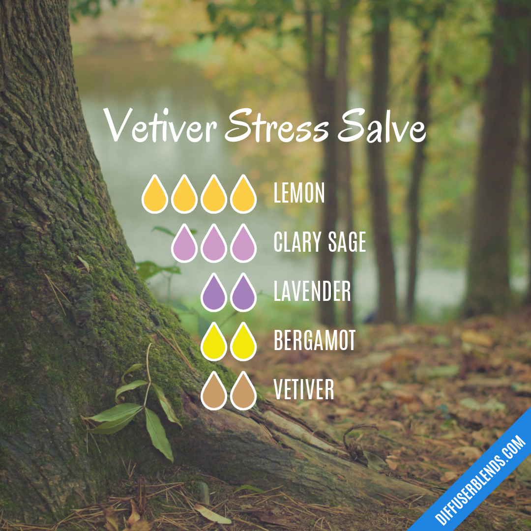 Vetiver Stress Salve | DiffuserBlends.com