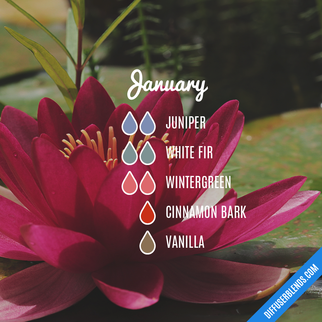 January | DiffuserBlends.com